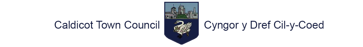 King George V Playing Fields - Caldicot Town Council